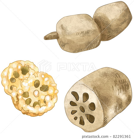 Lotus root tempura without main line - Stock Illustration [82291361 ...