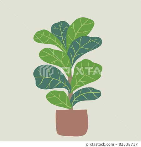 Doodle freehand sketch drawing of fiddle leaf... - Stock Illustration ...