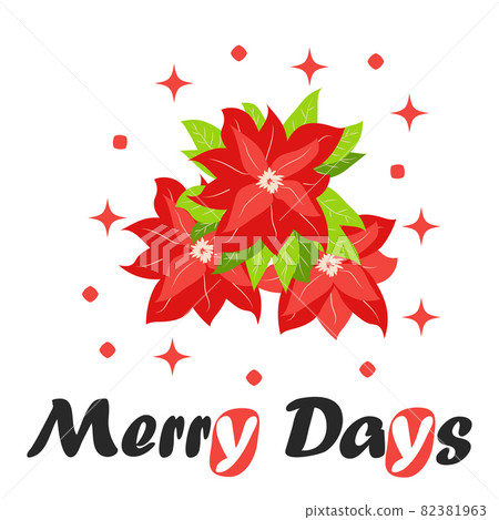 Bouquet of traditional Christmas poinsettia... - Stock Illustration ...