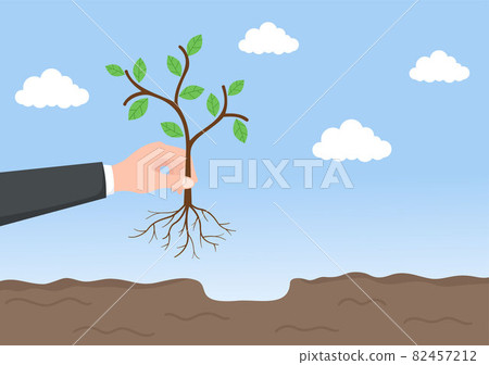 Cartoon Tree With Roots