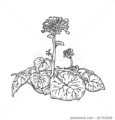 Wasabi flower pen drawing cut illustration - Stock Illustration ...