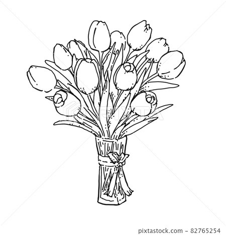 Tulip pen drawing cut illustration - Stock Illustration [82765254] - PIXTA