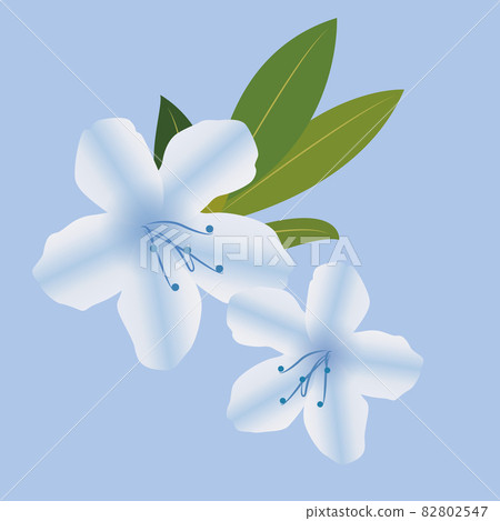 Satsuki's flower - Stock Illustration [82802547] - PIXTA