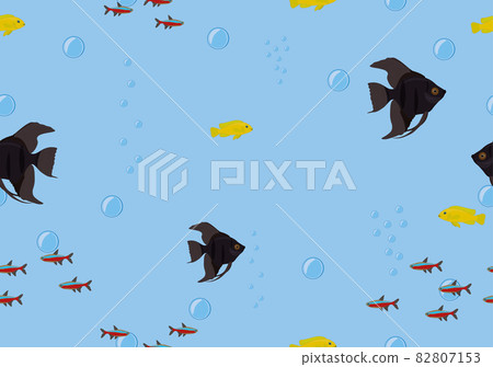 fish back-插圖素材 [82807153] - PIXTA圖庫