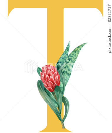 Tropical alphabet watercolor-插圖素材 [82821737] - PIXTA圖庫