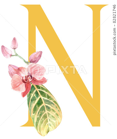 Tropical alphabet watercolor - Stock Illustration [82821746] - PIXTA