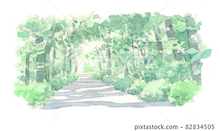 Watercolor: tree-lined road - Stock Illustration [82834505] - PIXTA