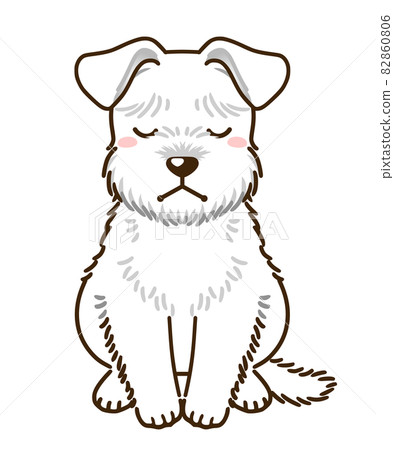 Depressed schnauzer (white) - Stock Illustration [82860806] - PIXTA