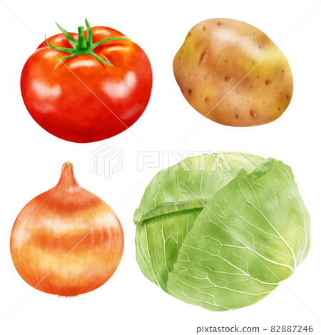 Watercolor illustration regular vegetable set - Stock Illustration ...