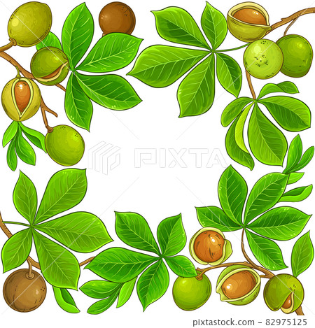 mongongo vector frame on white background - Stock Illustration ...