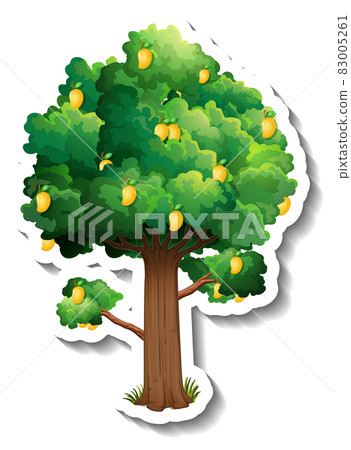 Mango tree sticker on white background - Stock Illustration [83005261 ...