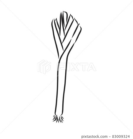 Leek hand drawn vector illustration. Isolated... - Stock Illustration ...