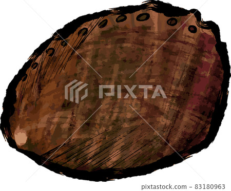 Abalone - Stock Illustration [83180963] - PIXTA