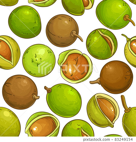 mongongo vector pattern on white background - Stock Illustration ...