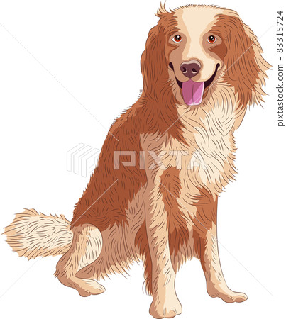 Large ginger dog isolated on white background. - Stock Illustration ...