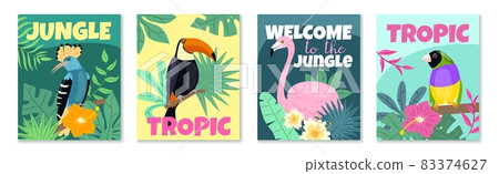 Tropical birds posters. Bright colors mini... - Stock Illustration ...