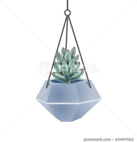 Agave Cactus Pot Composition - Stock Illustration [83404562] - PIXTA