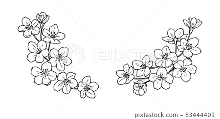 Cherry pen drawing set - Stock Illustration [83444401] - PIXTA