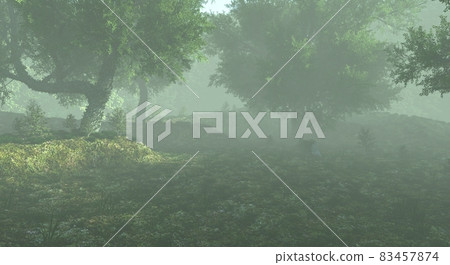 Foggy misty forest haze landscape 3d illustration - Stock Illustration ...