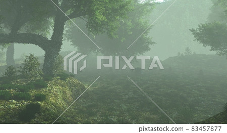 Foggy misty forest haze landscape 3d illustration - Stock Illustration ...