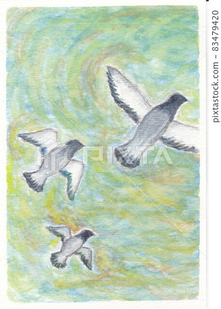 Three birds flying in a mixed sky - Stock Illustration [83479420] - PIXTA