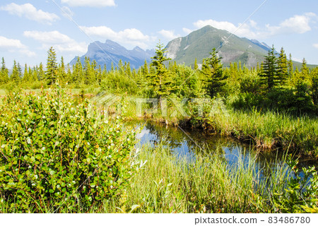 Spring Canadian Rockies Banff National Park... - Stock Photo [83486780 ...