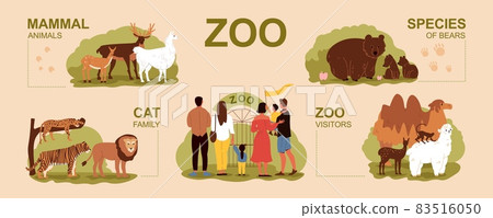 Zoo Infographic Set - Stock Illustration [83516050] - PIXTA