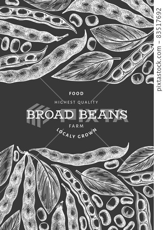 Hand drawn broad beans design template. Organic... - Stock Illustration ...