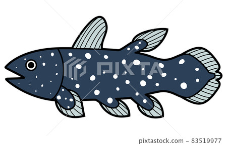 coelacanth - Stock Illustration [83519977] - PIXTA