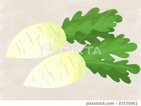Kimchi Illustration - Radish - Stock Illustration [83530981] - PIXTA