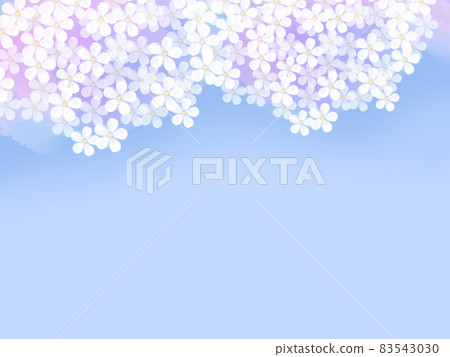 Simple frame of cherry blossoms (light blue... - Stock Illustration ...