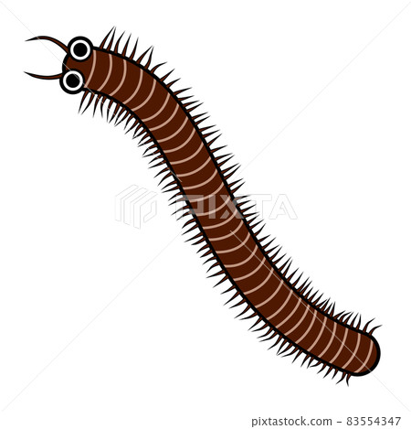 Millipede Drawing Millipedes | Cook's Pest Control