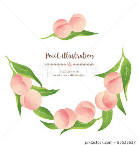 White peach illustration / circle with a... - Stock Illustration ...