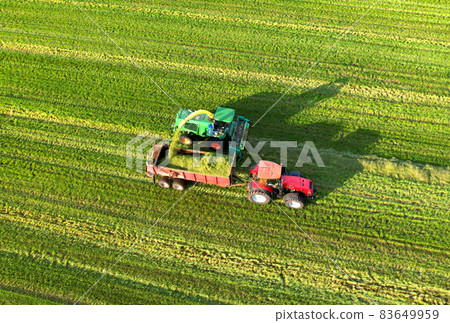 Forage harvester during grass cutting for...-照片素材（圖片） [83649959] - PIXTA圖庫
