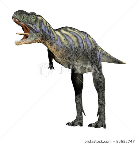 Aucasaurus ☆ Aucasaurus - Stock Illustration [83685747] - PIXTA
