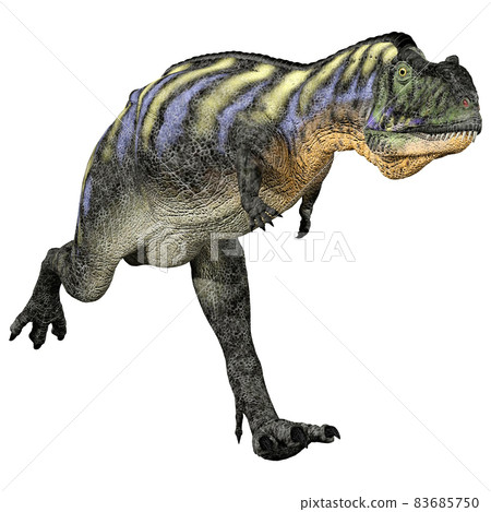Aucasaurus ☆ Aucasaurus - Stock Illustration [83685750] - PIXTA