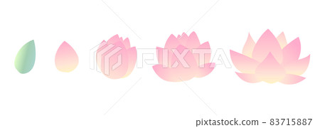 Illustration of lotus flower Growth process set... - Stock Illustration ...