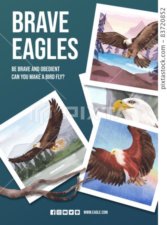 Bald Eagle Diagram Printout Bald Eagle 1 Canvas Print By Olivia Arts