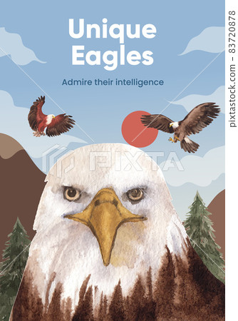 Poster template with bald eagle... - Stock Illustration [83720878] - PIXTA