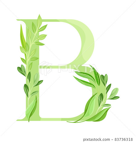 Alphabet Letter B Decorated with Green Foliage... - Stock Illustration ...