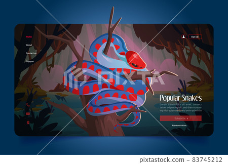 Snakes banner with California red-sided garter - Stock Illustration ...