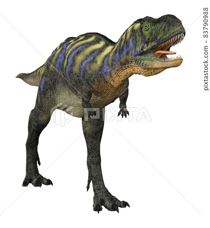 Aucasaurus ☆ Aucasaurus - Stock Illustration [83790988] - PIXTA