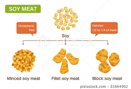 Illustrations of soy meat of various shapes... - Stock Illustration ...