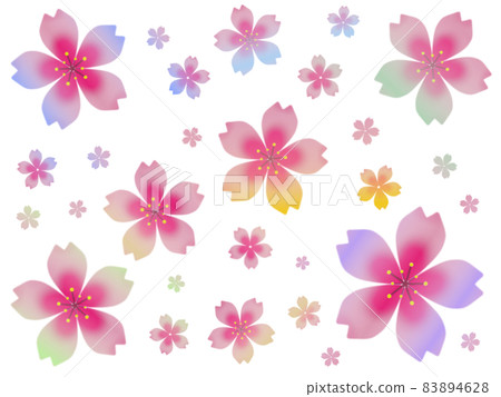 Gradient cherry blossoms - Stock Illustration [83894628] - PIXTA