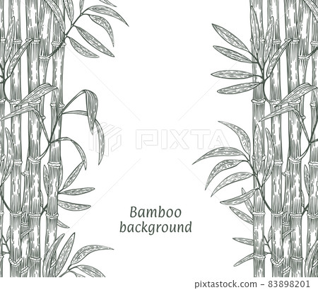 bamboo banner on both sides vector illustration-插圖素材 [83898201] - PIXTA圖庫