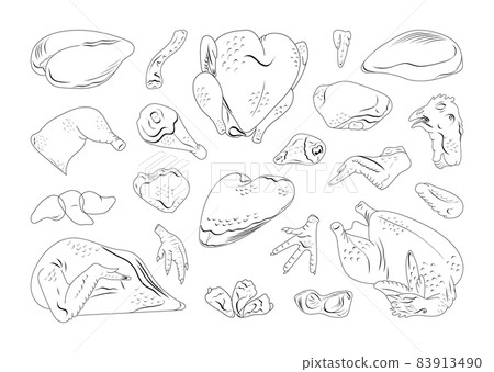 Set of Chicken Parts in Linear Style - Stock Illustration [83913490 ...