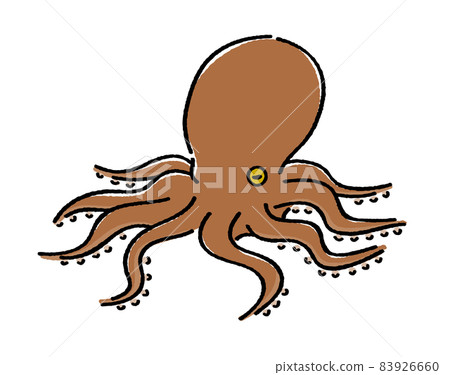 Madako - Stock Illustration [83926660] - PIXTA