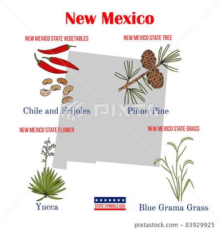 New Mexico. Set of USA official state symbols. - Stock Illustration ...