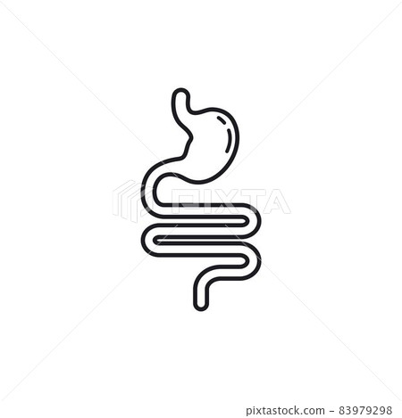 stomach line icon vector illustration design... - Stock Illustration ...