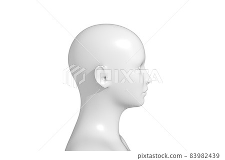 Female body head 3d - Stock Illustration [83982439] - PIXTA
